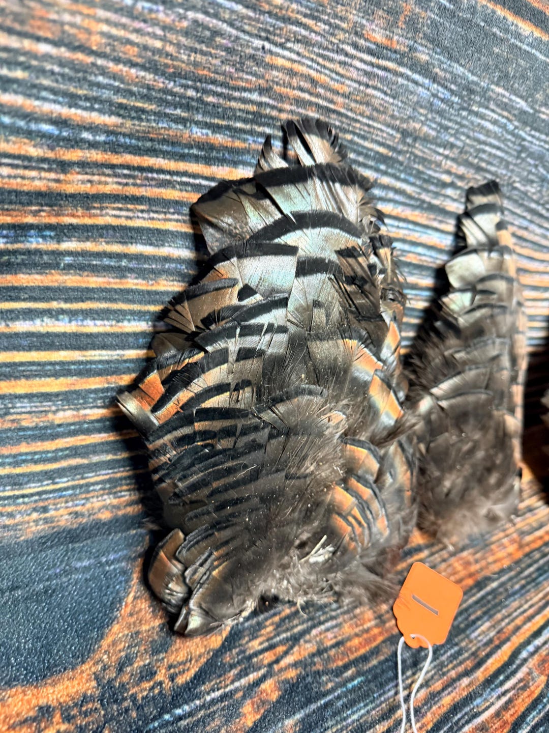Real Wild Turkey Shoulder Body Feather Millinery Bustle Western Decor ...