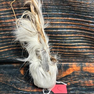 Whitetail Deer Scrotum Real Bison Ball Bag Oddity Nutsack Gag Gift ...