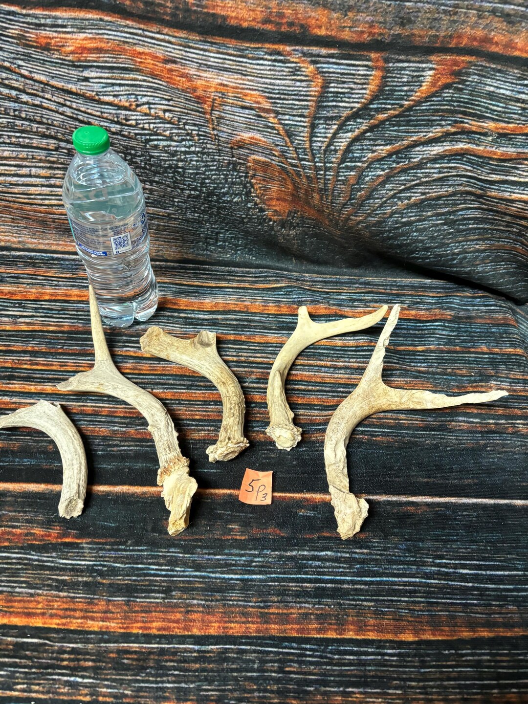 5 Wild Whitetail Deer Antler Unique Handle Drawer Man Cave Medieval ...