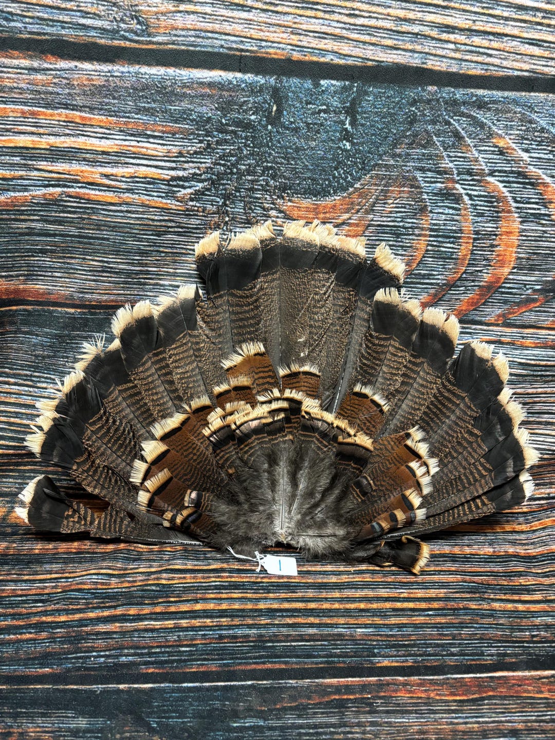 Real Wild Turkey Tail Merriam Feather Millinery Big Tom Decoy Bustle ...