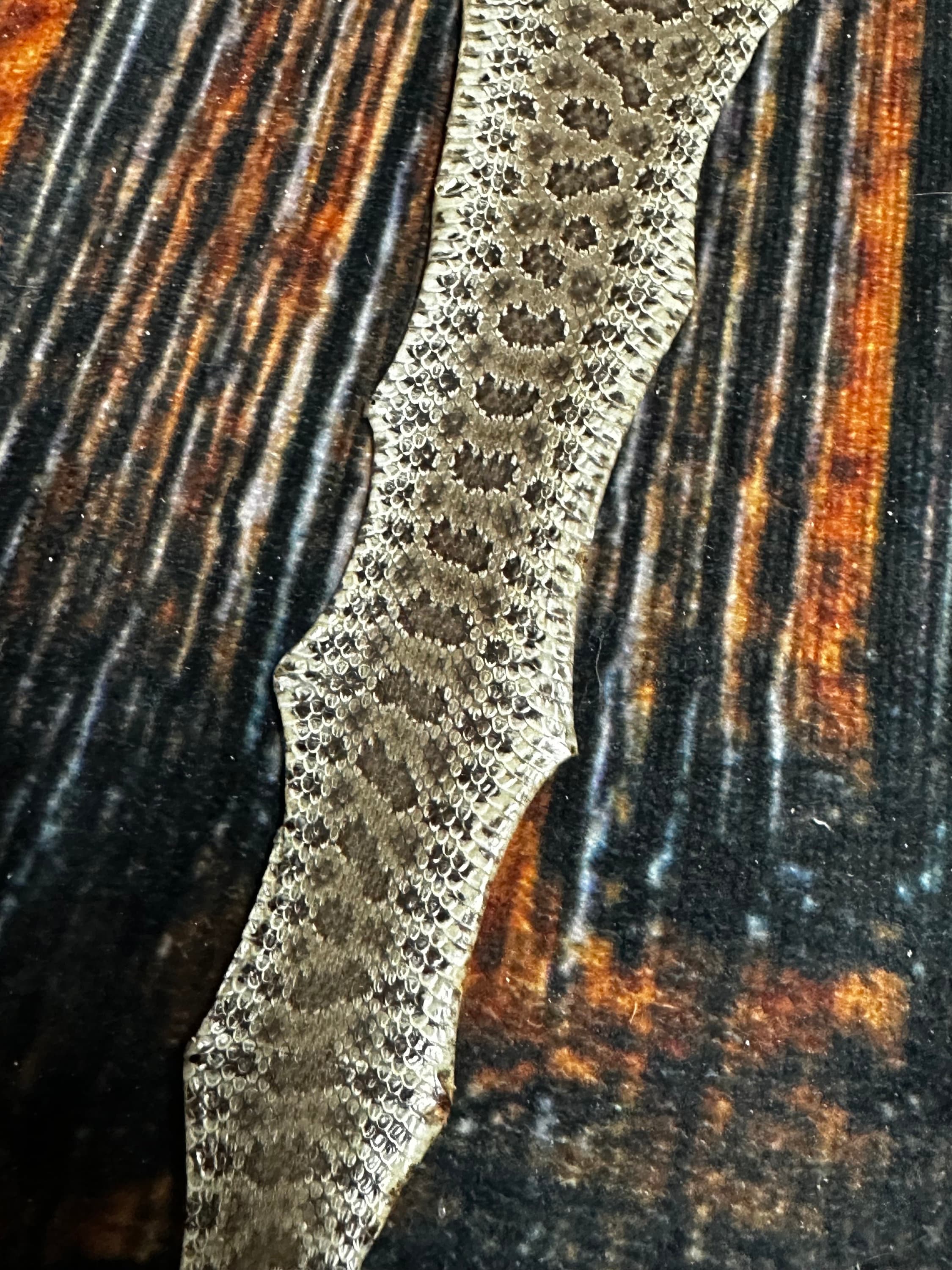 Diamondback Rattlesnake Skin Pattern