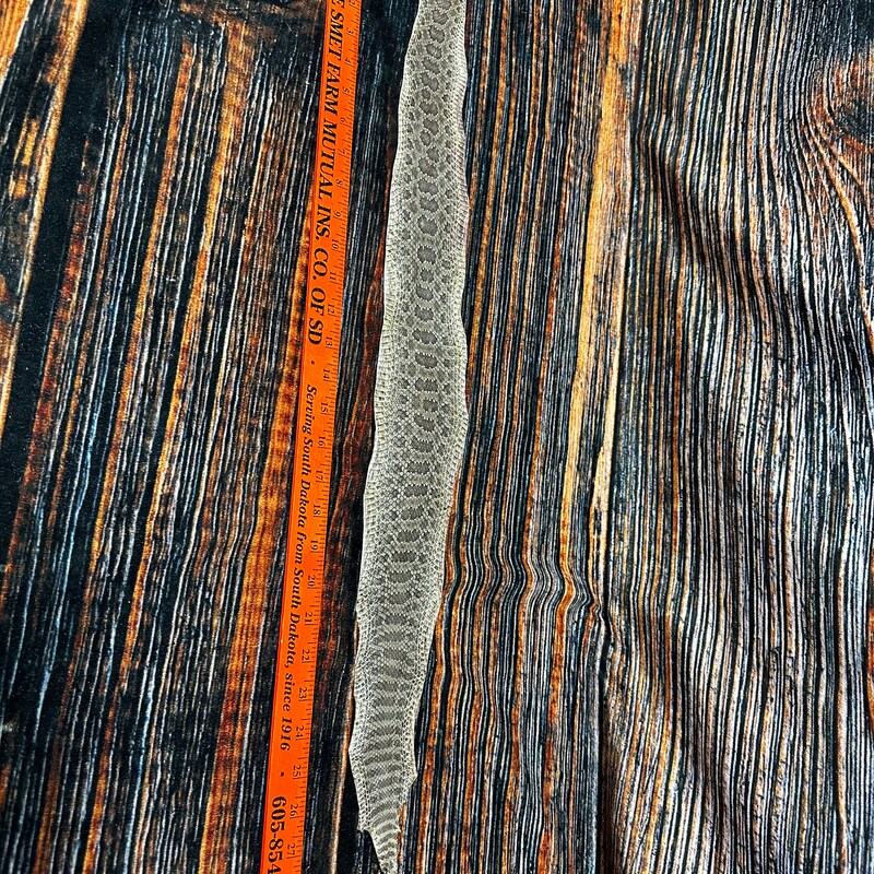 Rattlesnake Skin - Etsy