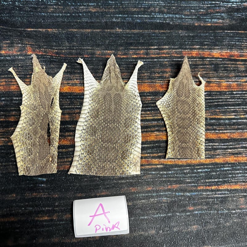 Rattlesnake Skin - Etsy