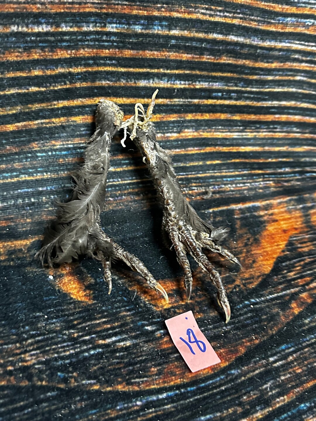 2 Chicken Feet Pair Animal Mount Repair Witchcraft Voodoo Art Supply ...