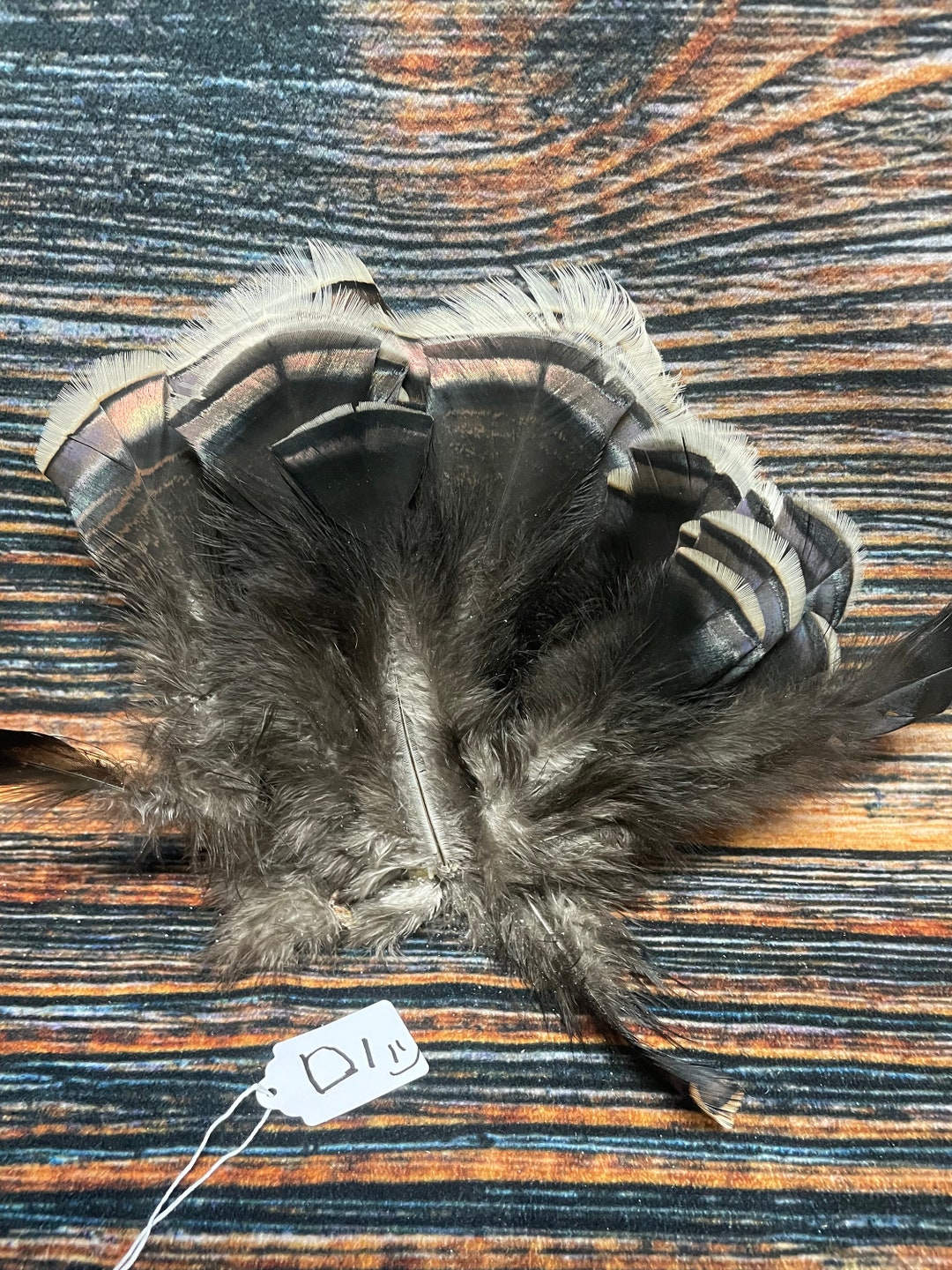 Real Wild Turkey Mini Tail Feather Millinery Bustle Western Decor Art ...