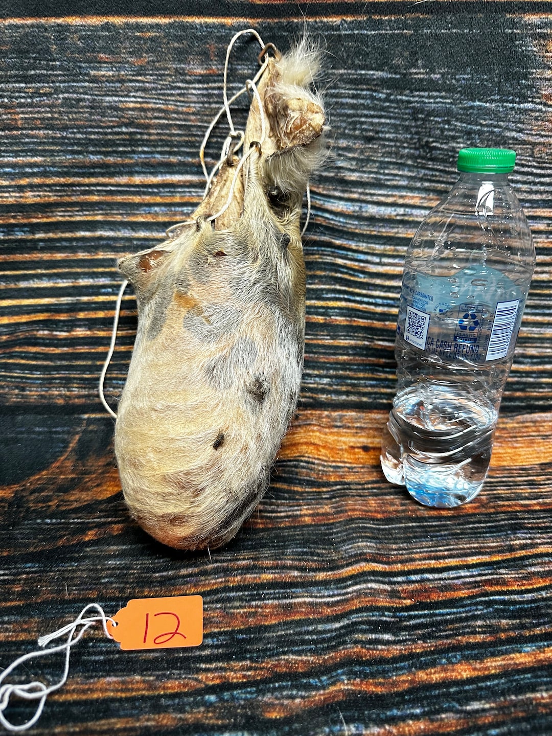 XXXL BULL Scrotum Oddities HUGE Ball Bag Unique Gift Odd Nut Sack Black ...