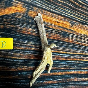 Real Wild Turkey Foot Taxidermy Mount Art Feet Voodoo Unique Christmas ...