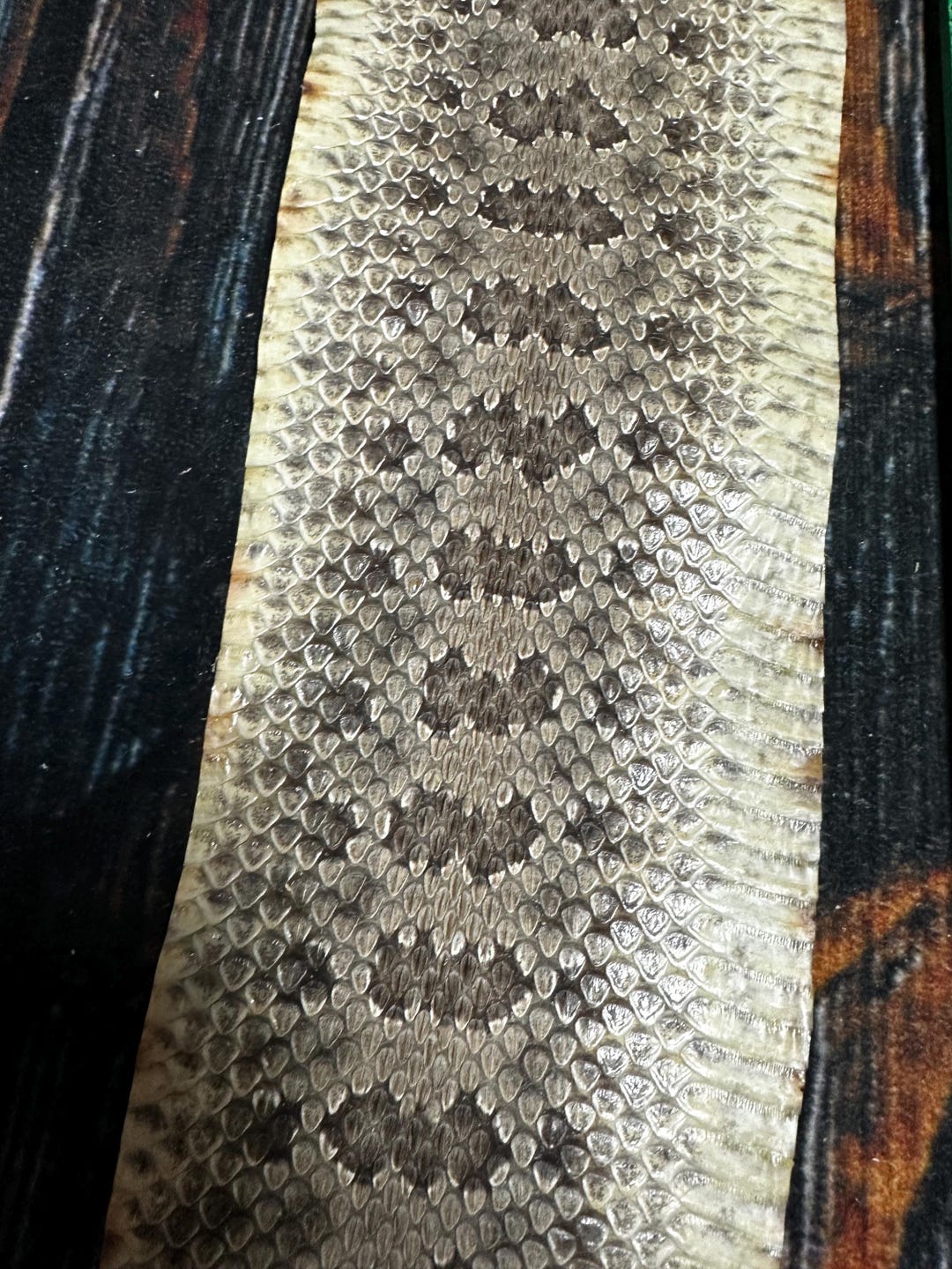 REAL Rattlesnake Skin Prairie Rattler Hide Soft Tanned Bow Wrap Blank ...