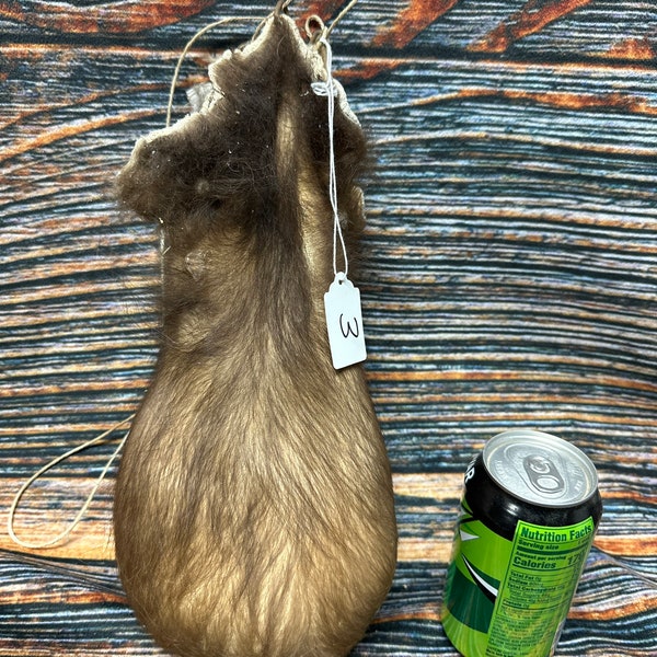 Bull Scrotum Bag - Etsy