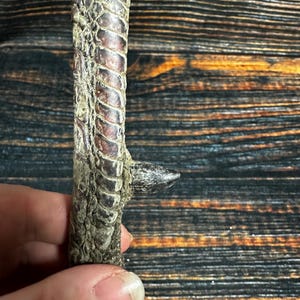 Real Wild Turkey Foot Taxidermy Mount Art Feet Voodoo Unique Christmas ...