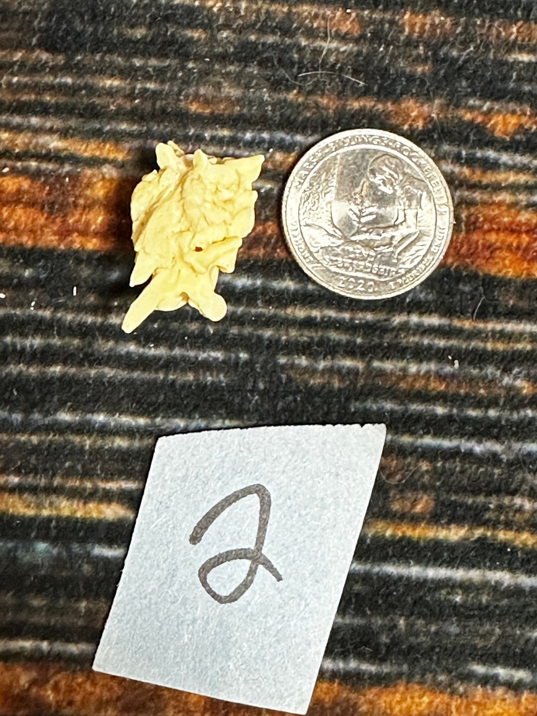 Real Fuzed Rattlesnake Vertebrae Bone Gothic Voodoo Witchcraft Craft ...