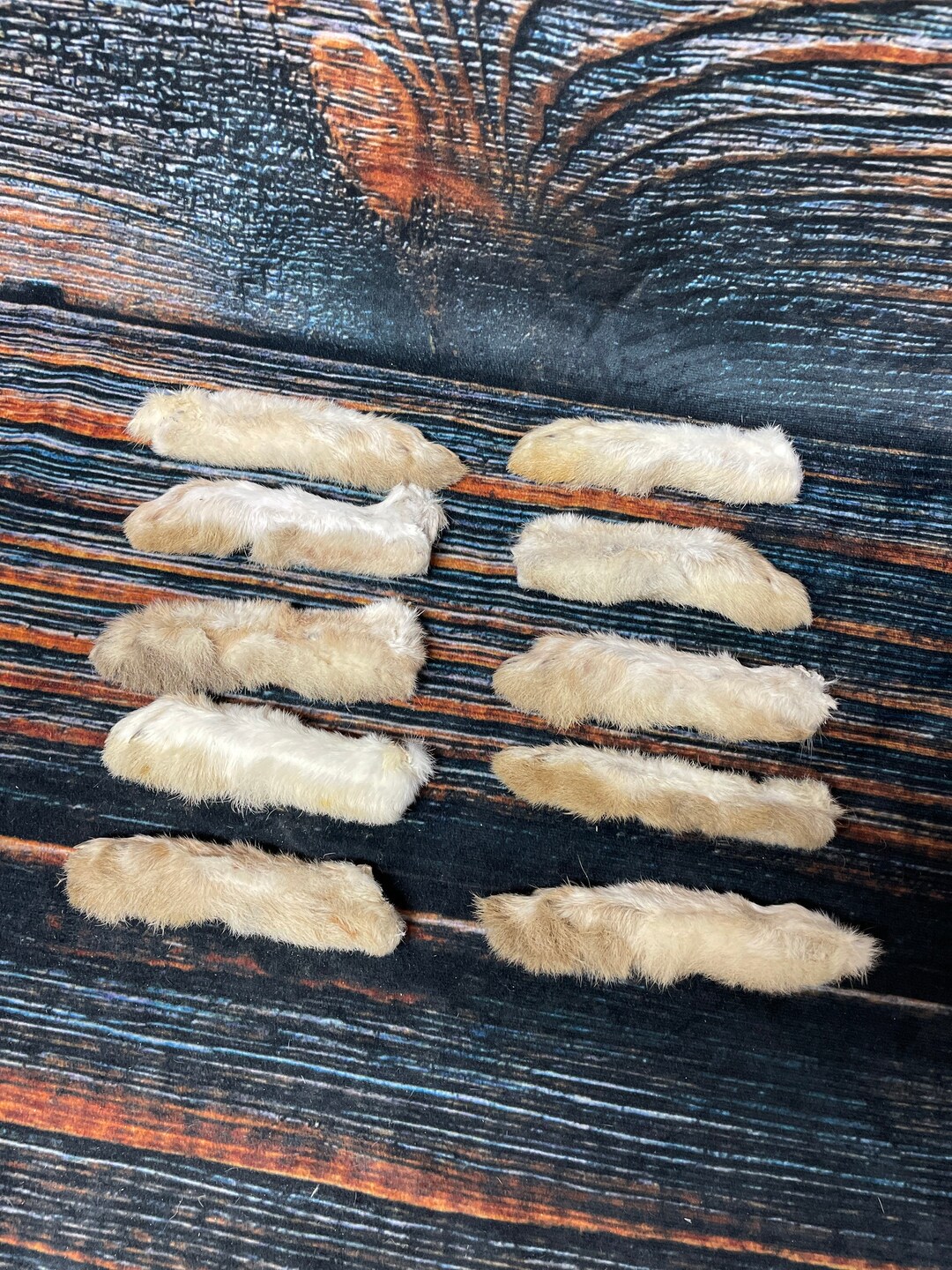 10 Rabbit Back Feet Art Animal Mount Repair Witchcraft Voodoo Art ...