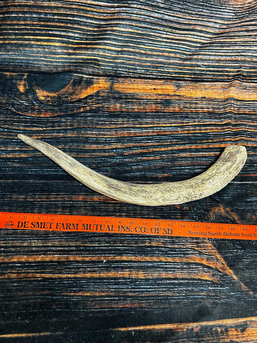 Real Cut Elk Horn Point Shed Antler Dog Chew Pens Knife Handle Forge ...