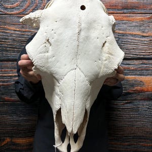 Western Craft Supply Etsy