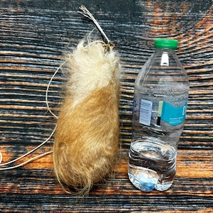 XXXL BULL Scrotum Oddities HUGE Ball Bag Unique Gift Odd Nut Sack Black ...