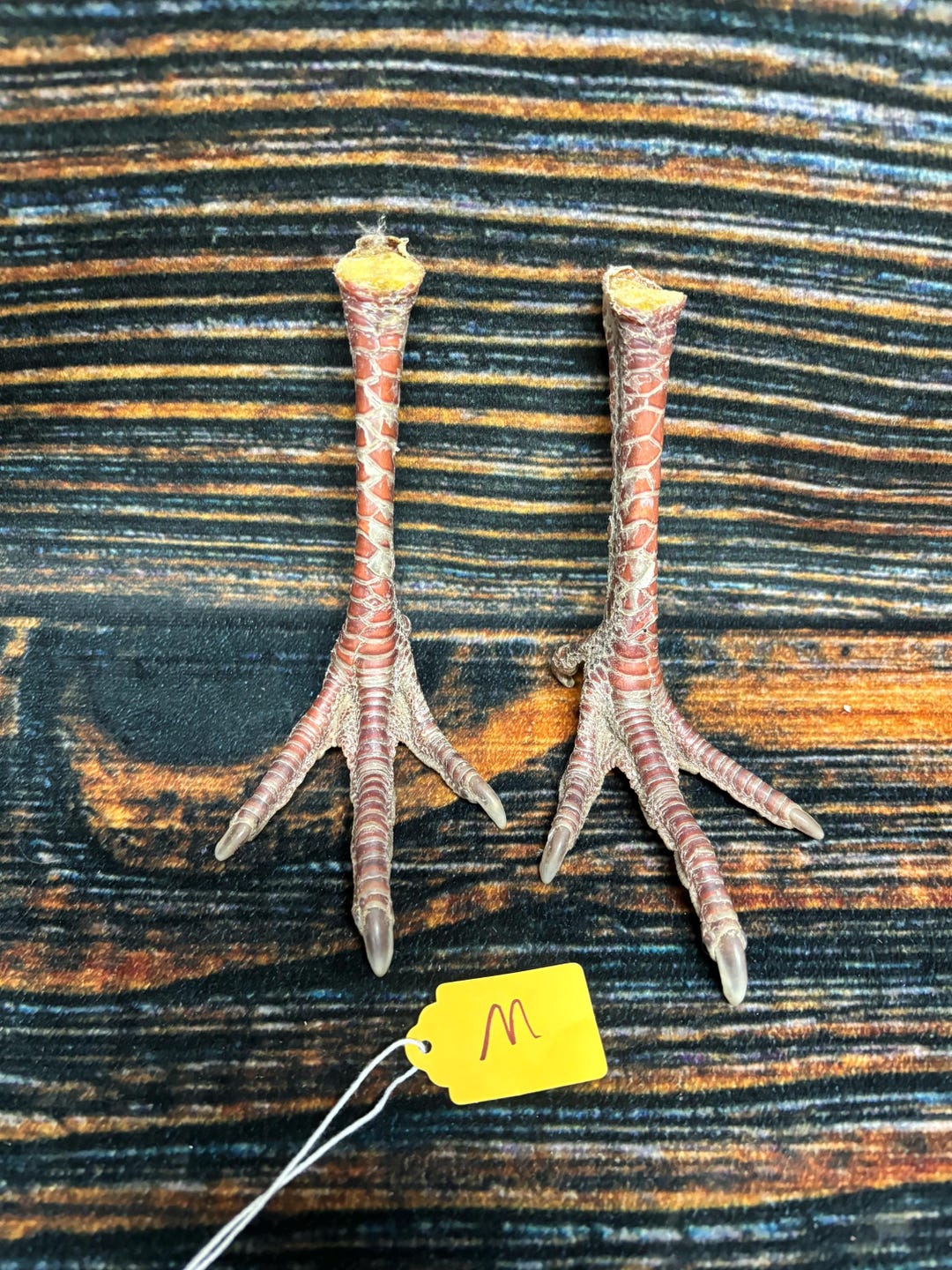 Real Royal Palm Turkey Feet Pair Taxidermy Repair Animal Mount ...