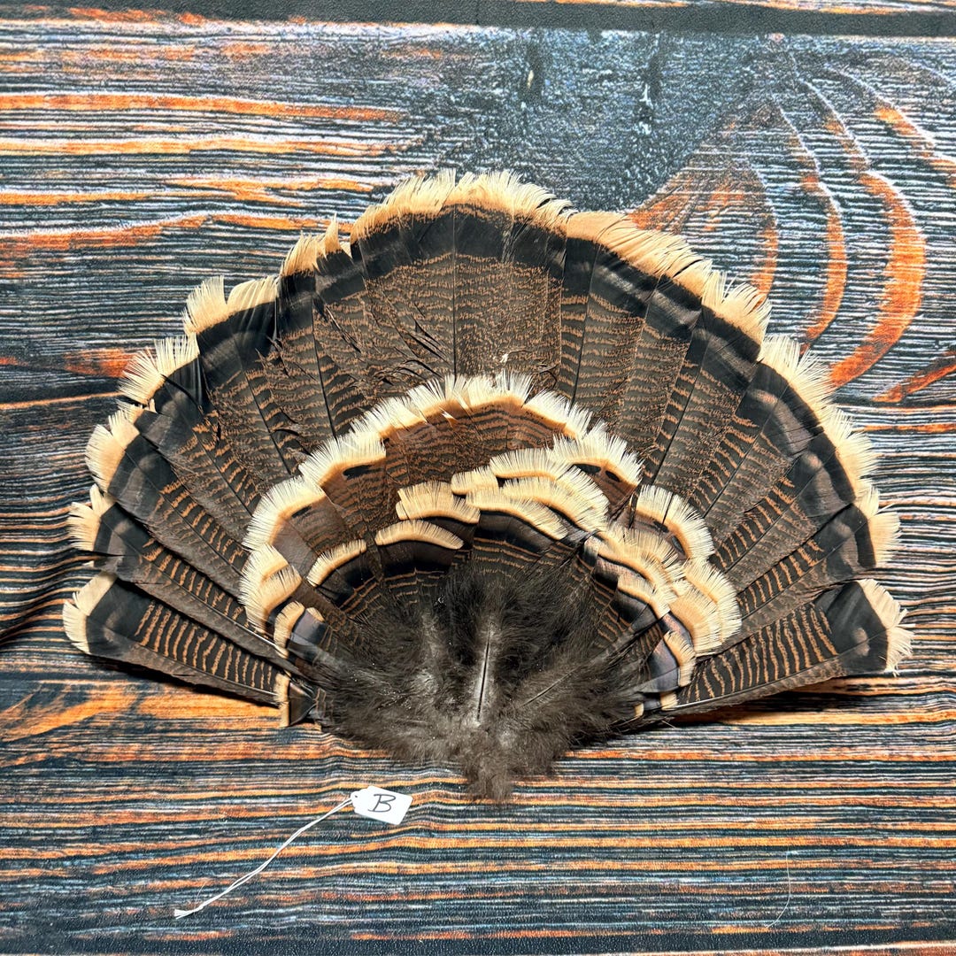 Real Wild Turkey Tail Merriam Feather Millinery Big Tom Decoy Bustle ...