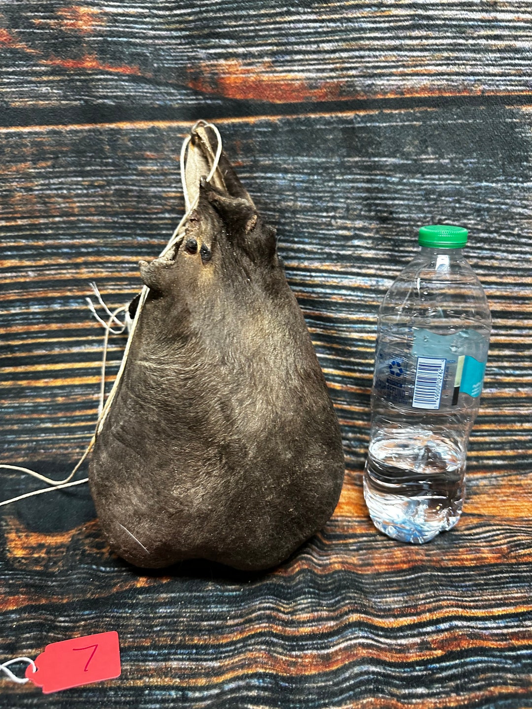 Buffalo Scrotum Real Bison Ball Bag Oddity Nutsack Gag Gift Winter Bag ...