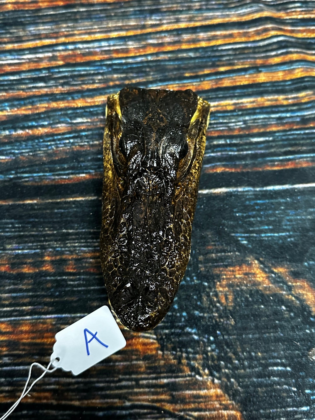 Real Alligator Head Taxidermy Mount Man Cave Western Cabin Decor Craft ...