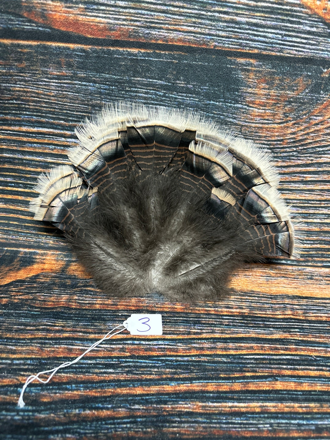 Real Wild Turkey Mini Tail Feather Millinery Bustle Western Decor Art ...