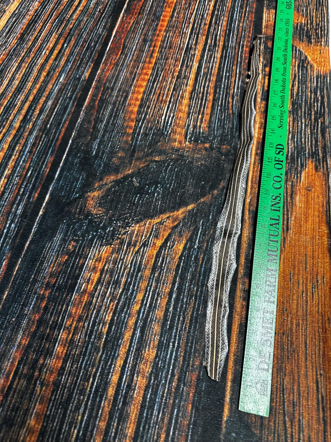 Garter Snake Skin Snake Hide Soft Tanned Bow Wrap Pen Blanks Garden ...