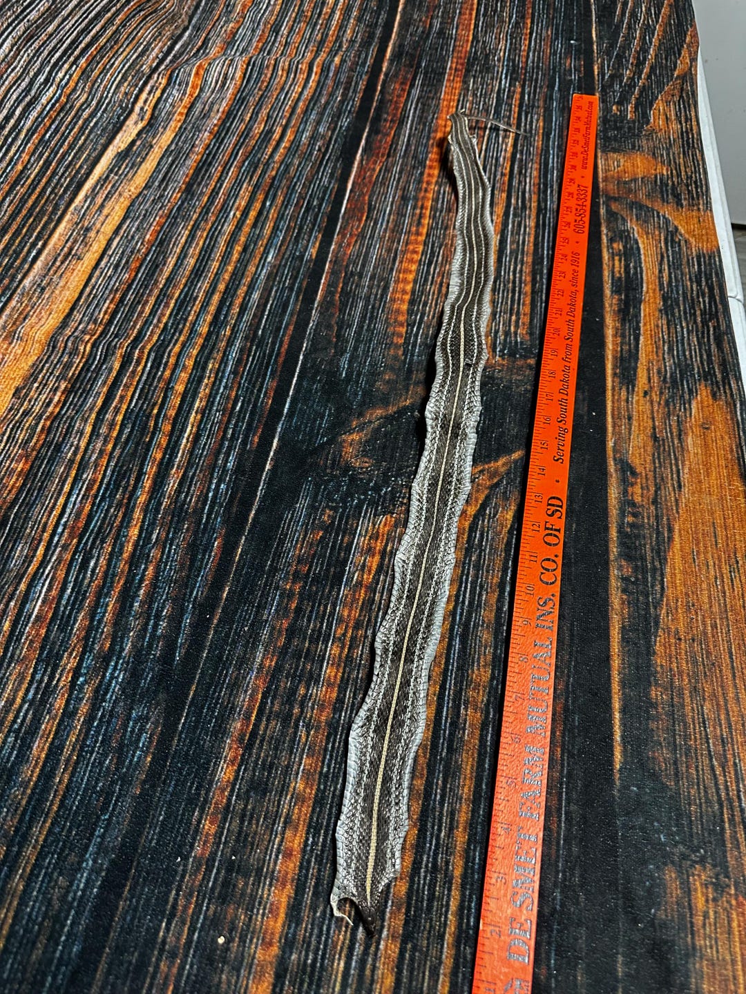 Garter Snake Skin Snake Hide Soft Tanned Bow Wrap Pen Blanks Garden ...