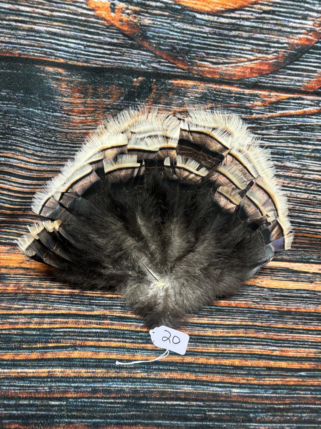 Real Wild Turkey Mini Tail Feather Millinery Bustle Western Decor Art ...