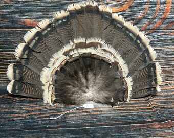 Turkey Feather Fan - Etsy