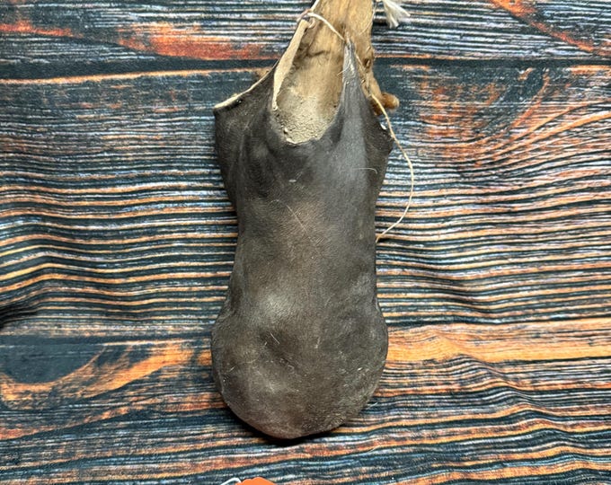 XXXL BULL Scrotum Oddities HUGE Ball Bag Unique Gift Odd Nut Sack Black ...