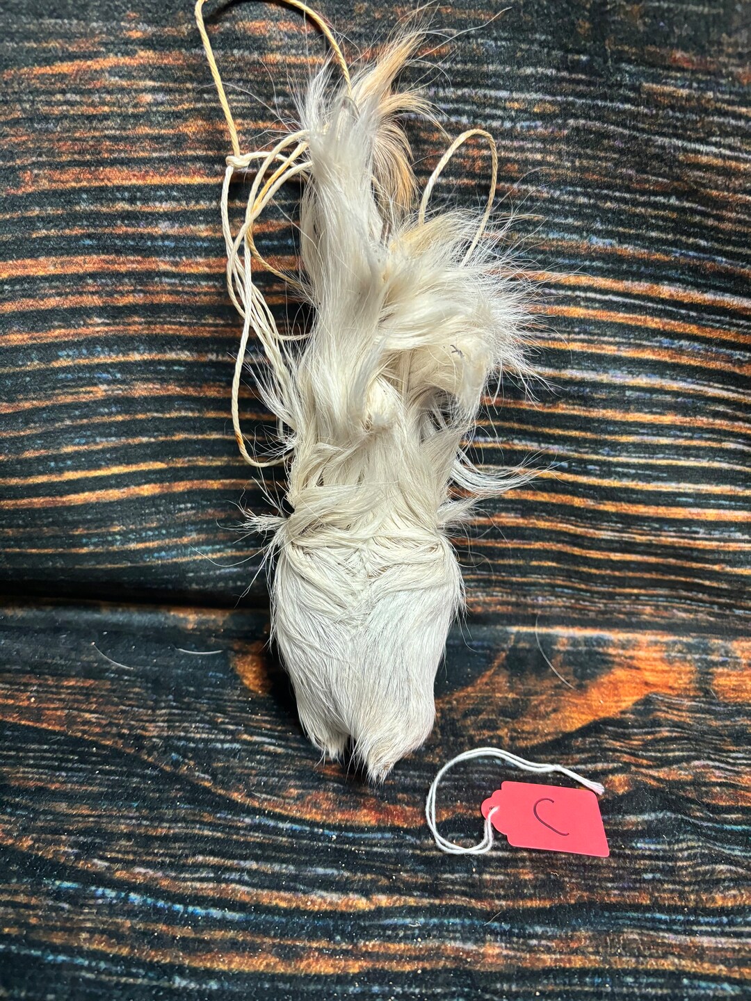 Whitetail Deer Scrotum Real Bison Ball Bag Oddity Nutsack Gag Gift ...