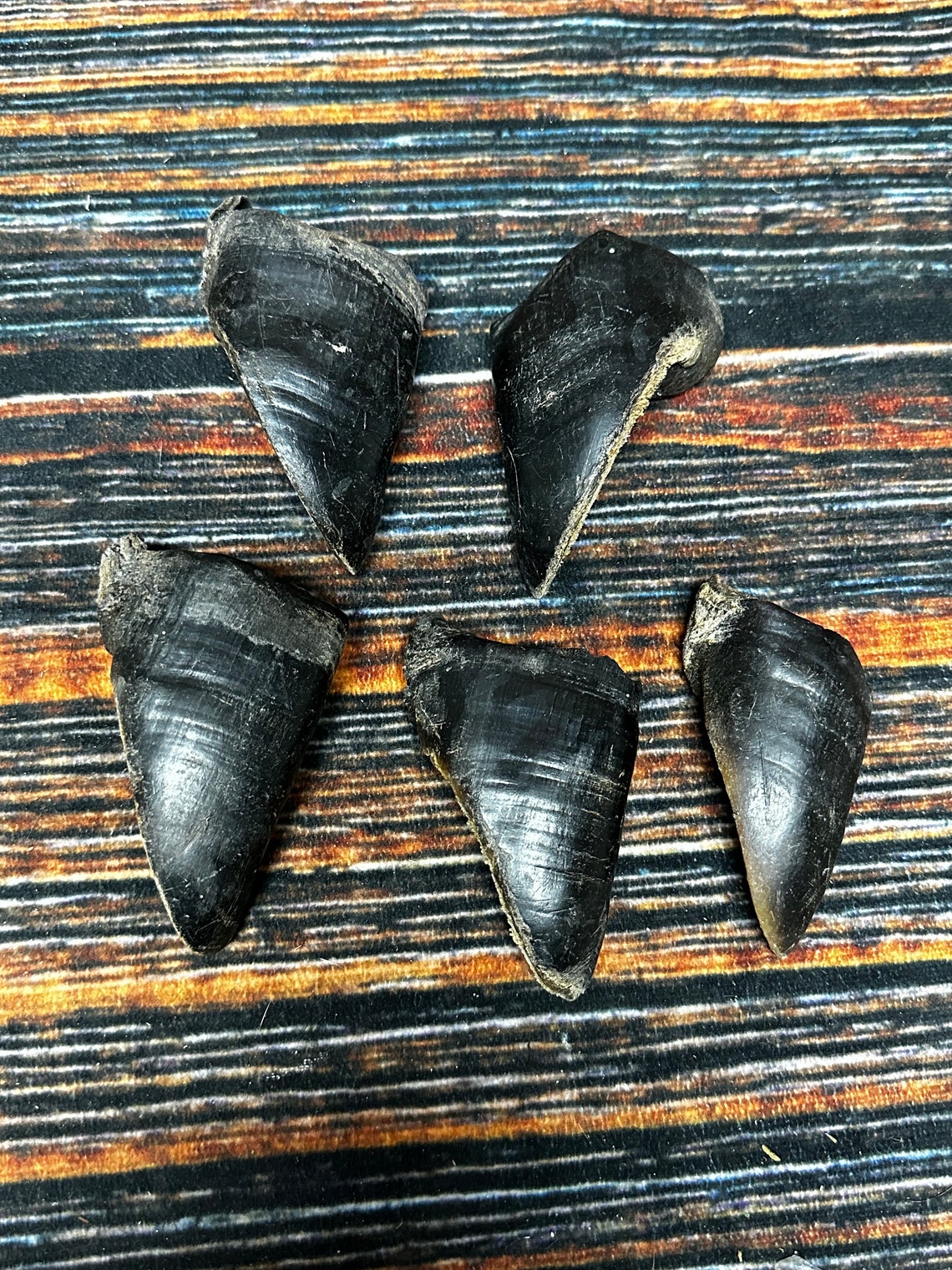 5 Real Elk Hooves Foot Native American Beads Art Craft Supply ...