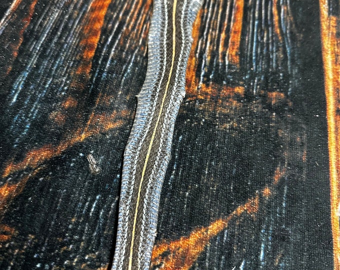 Garter Snake Skin Snake Hide Soft Tanned Bow Wrap Pen Blanks Garden ...