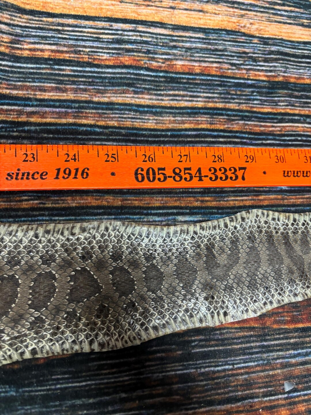 REAL Rattlesnake Skin Prairie Rattler Hide Dry Tanned Bow Wrap Blank ...