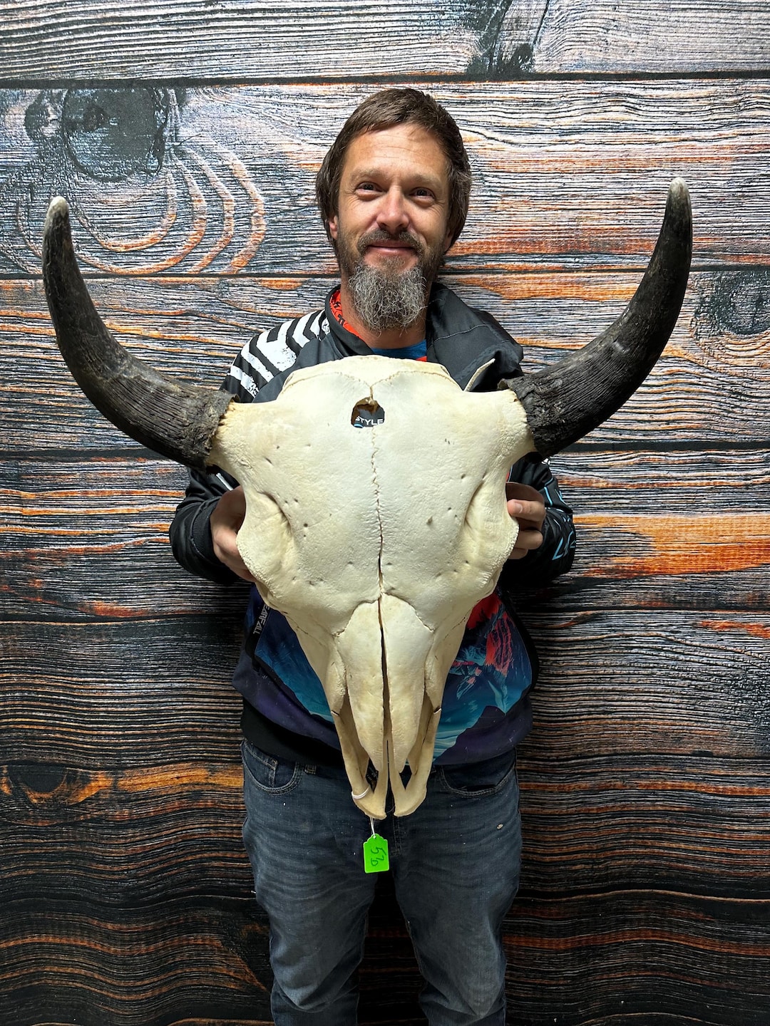 Real American Bison Buffalo Skull Western Yard Decor Art Craft Supplies ...