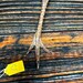 Real Wild Turkey Foot Taxidermy Mount Art Feet Voodoo Unique Christmas ...