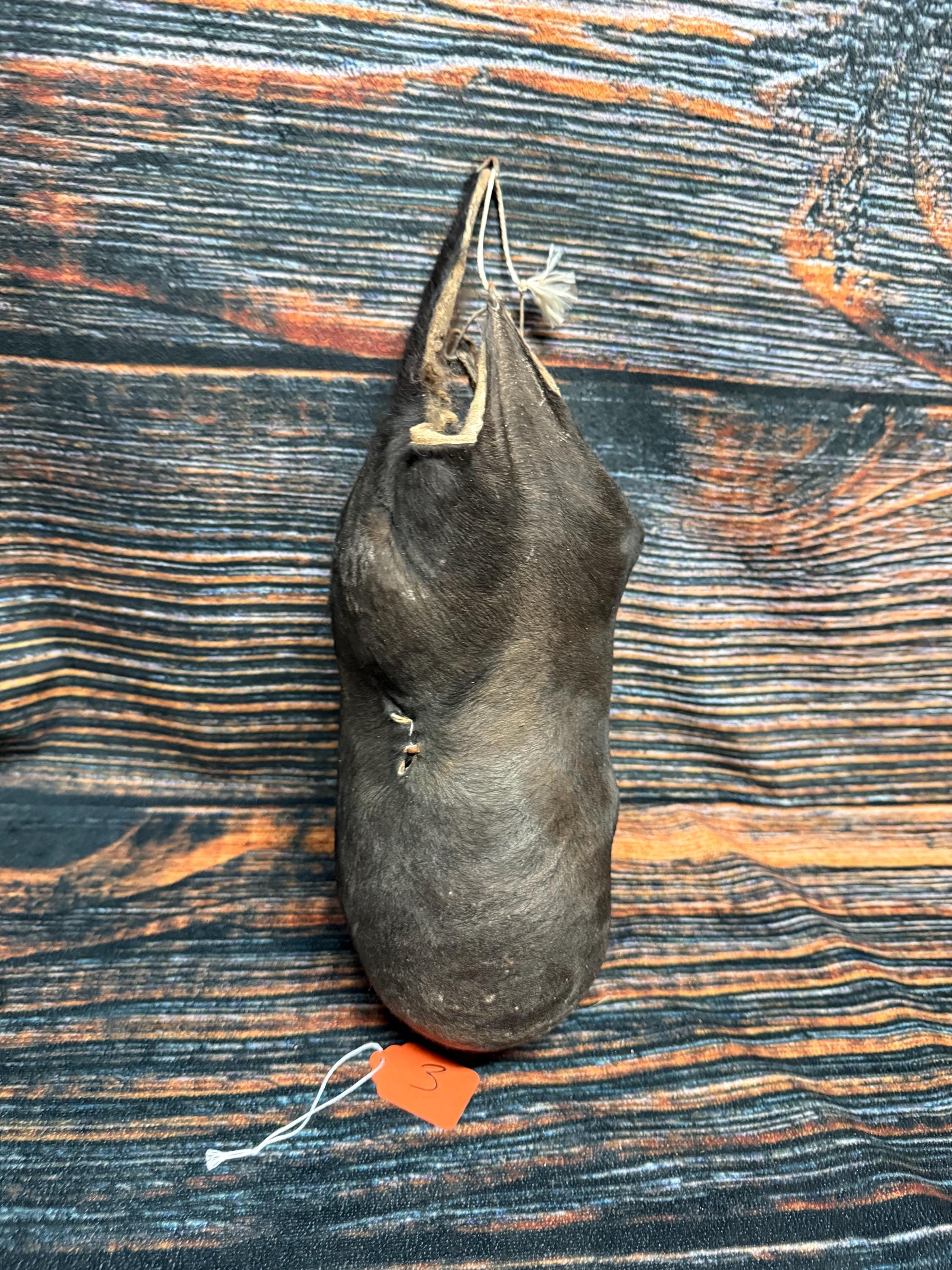 XXXL BULL Scrotum Oddities HUGE Ball Bag Unique Gift Odd Nut Sack Black ...