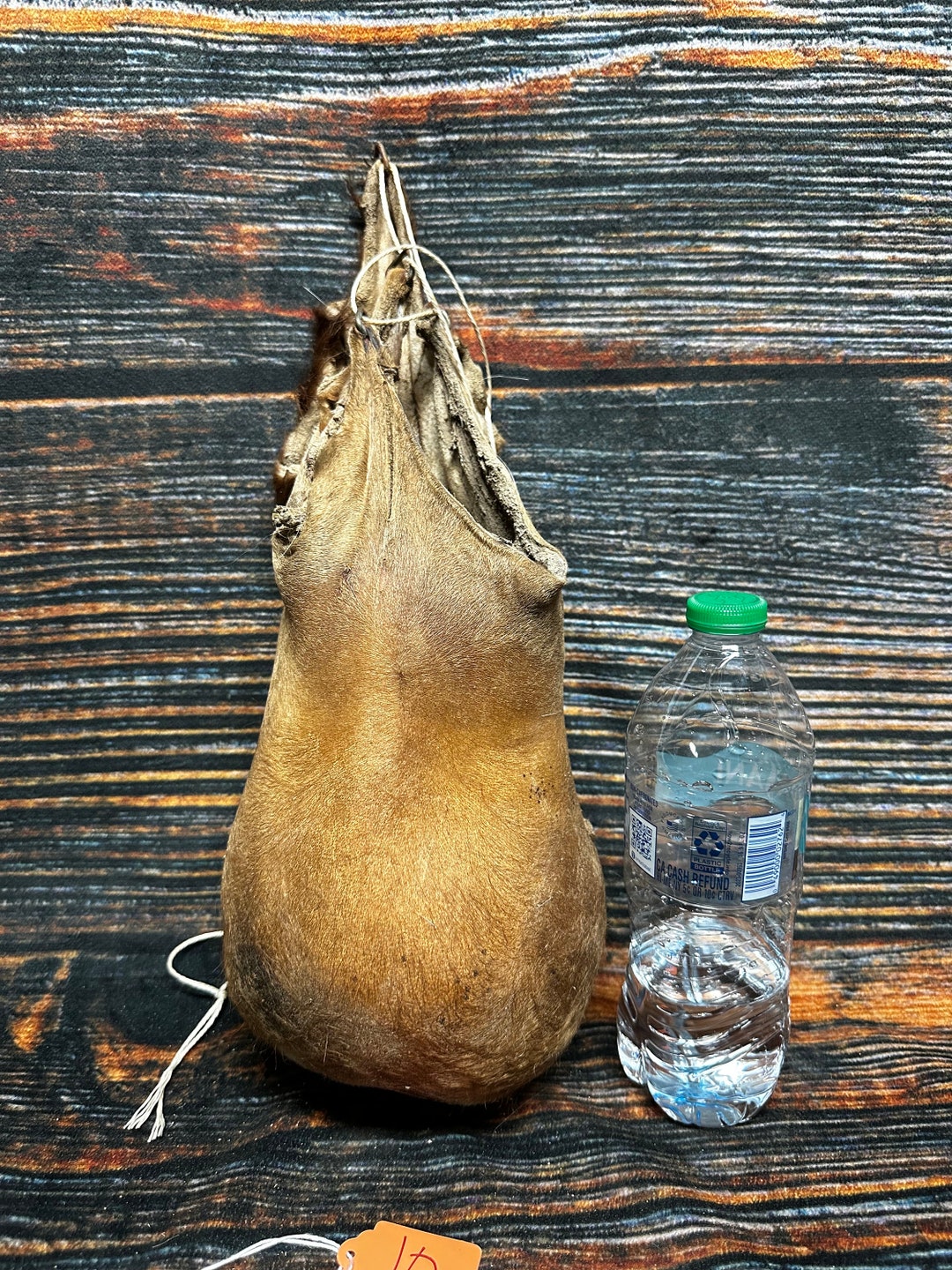 XXXL BULL Scrotum Oddities HUGE Ball Bag Unique Gift Odd Nut Sack Black ...