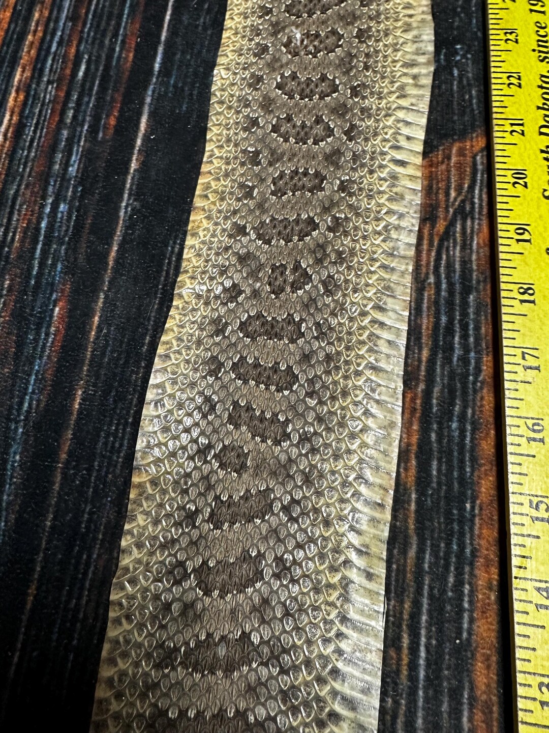 REAL Rattlesnake Skin Prairie Rattler Hide Soft Tanned Bow Wrap Blank ...