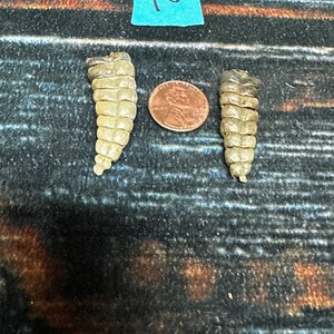 2 REAL Rattlesnake Rattles Prairie Rattler Skin Jewelry Art Craft ...