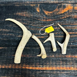 4 Wild Whitetail Deer Cut Antler Unique Handle Drawer Man Cave Medieval ...