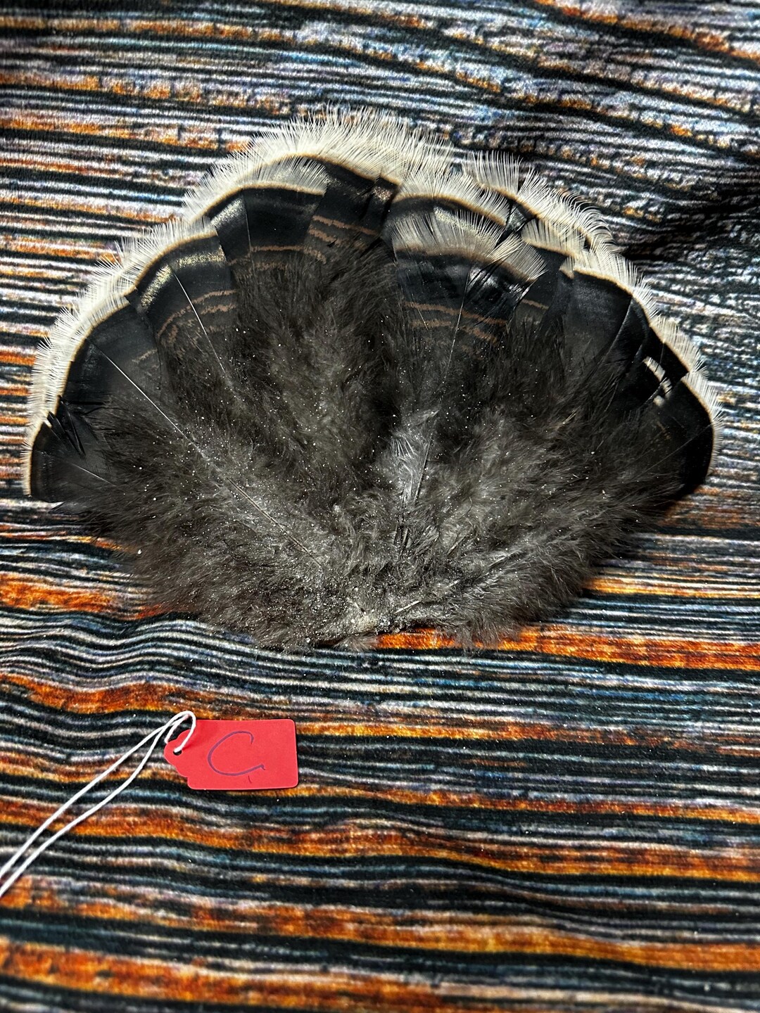 Real Wild Turkey Mini Tail Feather Millinery Bustle Western Decor Art ...