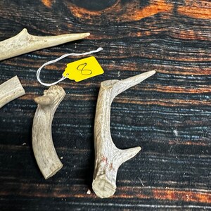 4 Wild Whitetail Deer Cut Antler Unique Handle Drawer Man Cave Medieval ...