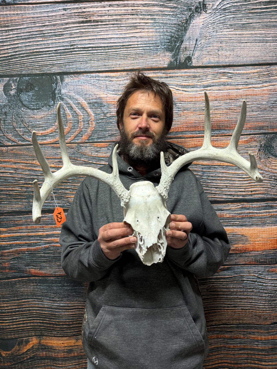 Trophy Wild 10 Point Whitetail Deer Skull Antler Mount Horn Head Unique ...