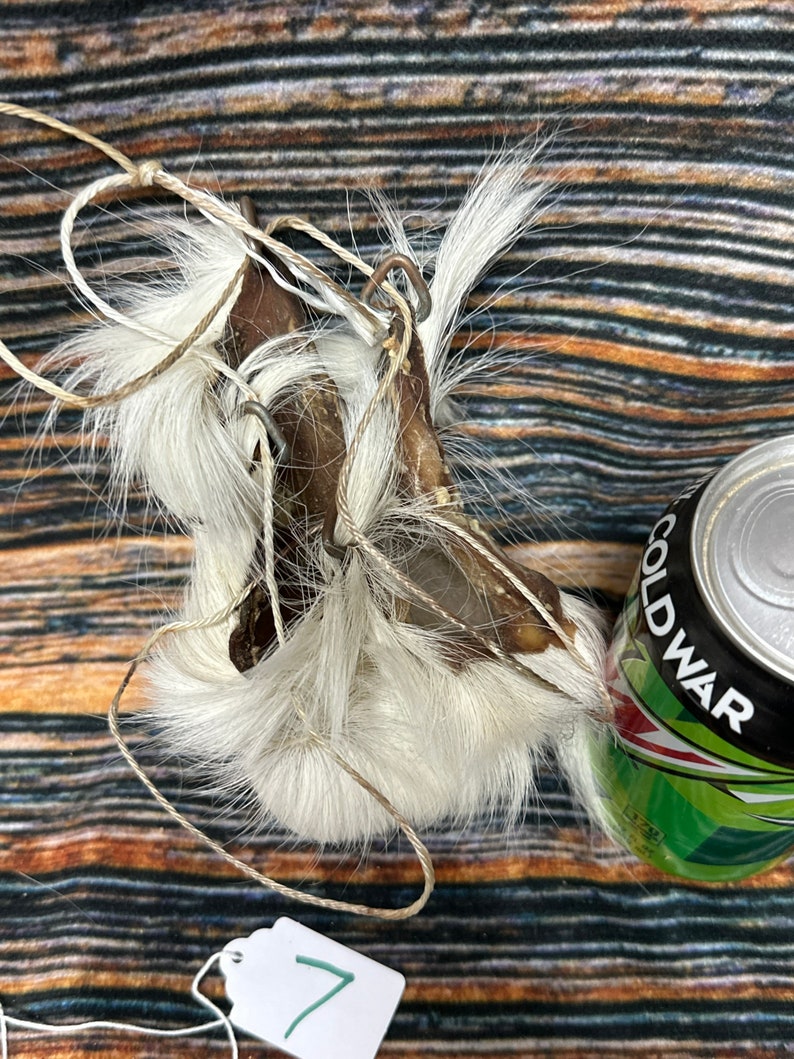 Whitetail Deer Scrotum Real Bison Ball Bag Oddity Nutsack Gag - Etsy