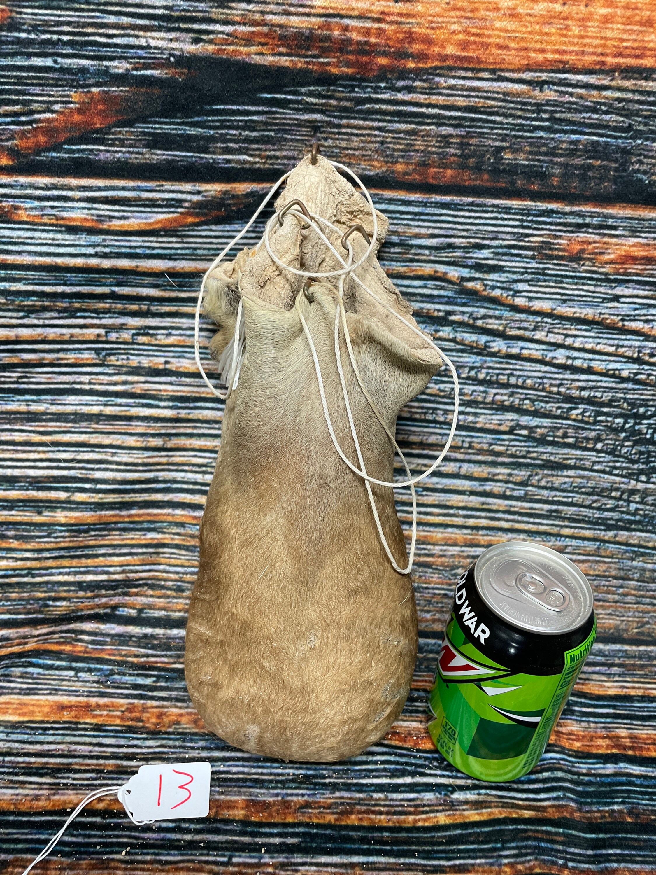XXXL BULL scrotum Oddities HUGE ball bag Unique gift Odd Nut | Etsy