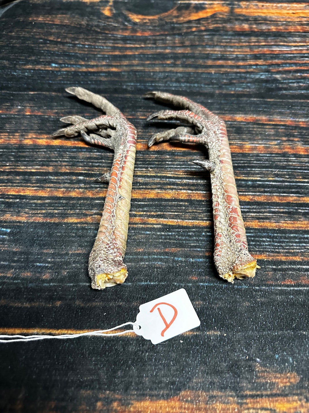 Real Wild Turkey Feet Pair Taxidermy Repair Animal Mount Witchcraft ...