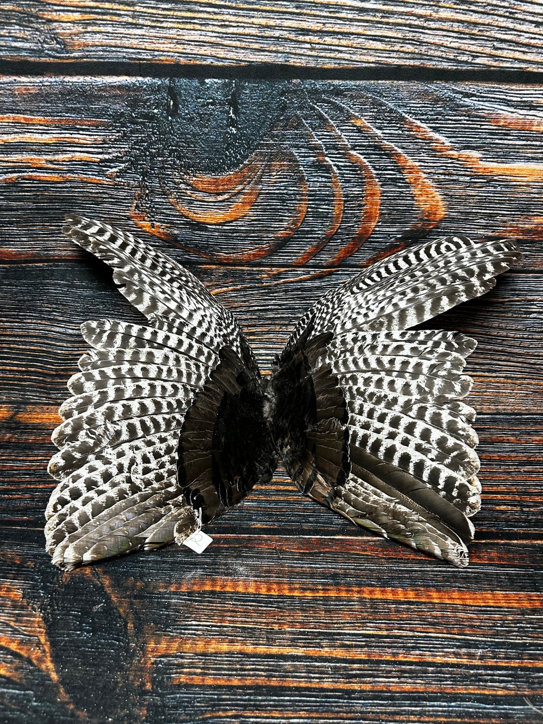 2 Wild Turkey Wings Feathers Plume Millinery Art Fan Bustle Fly Tying ...