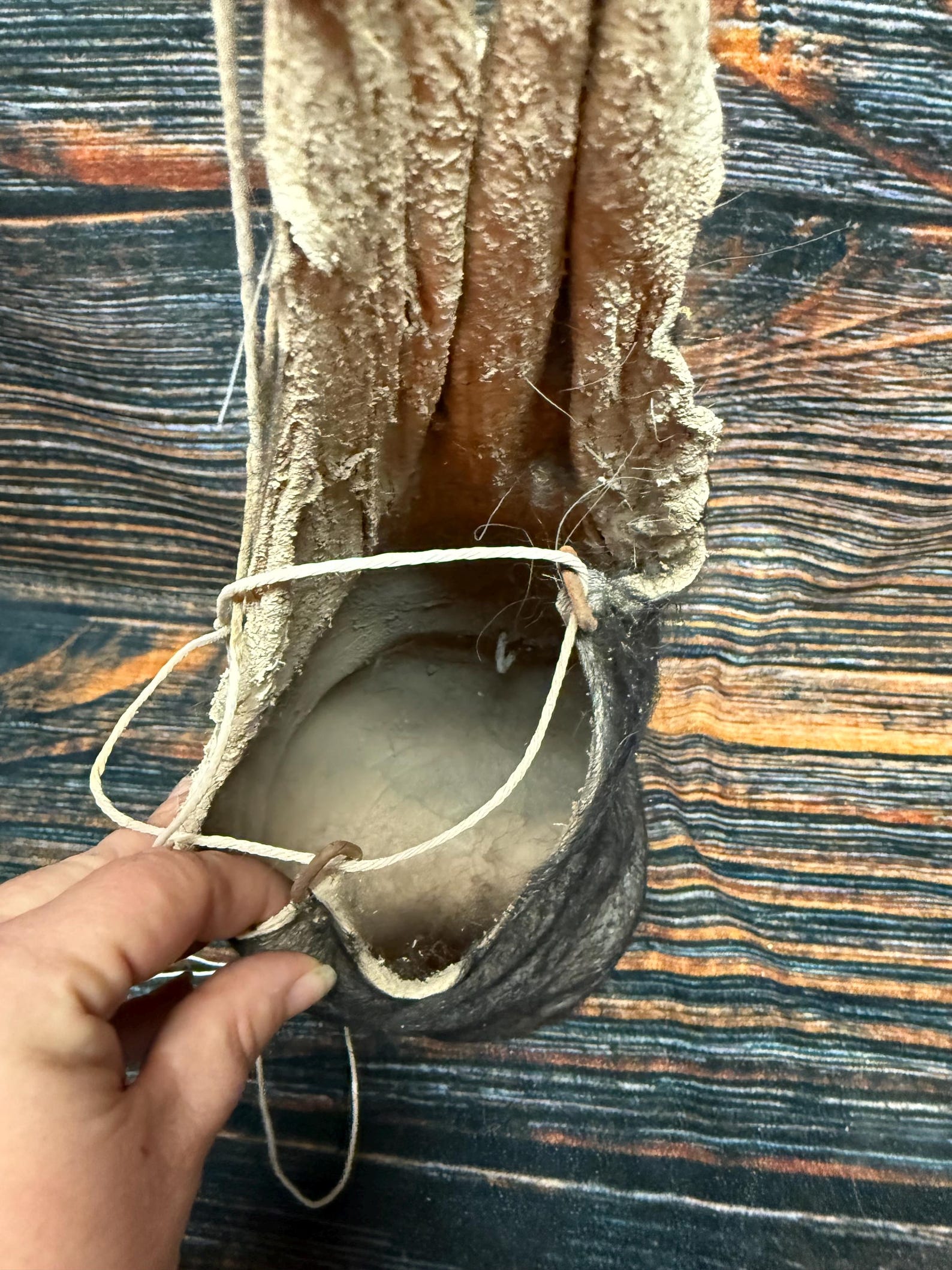 XXXL BULL Scrotum Oddities HUGE Ball Bag Unique Gift Odd Nut Sack Black ...