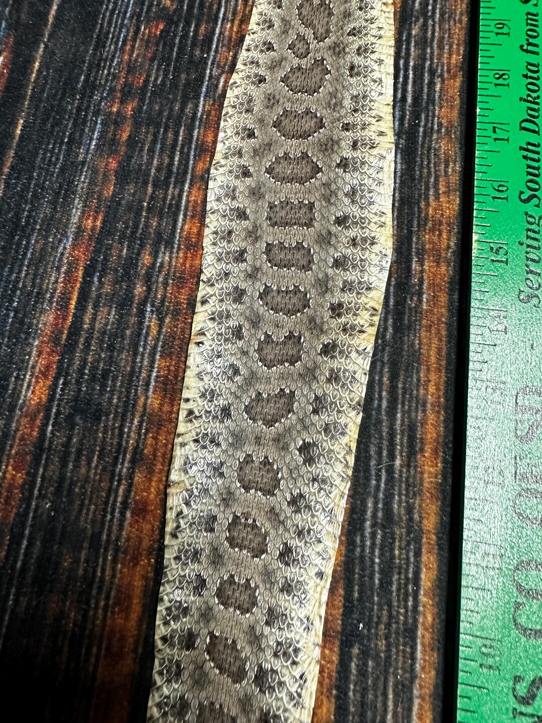 REAL Rattlesnake Skin Prairie Rattler Hide Soft Tanned Bow Wrap Blank ...