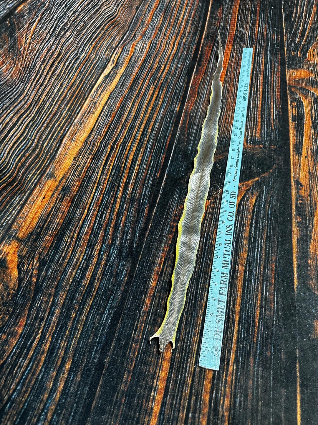 Blue Racer Snake Skin Snake Hide Dry Tanned Bow Wrap Pen Blanks Garden ...